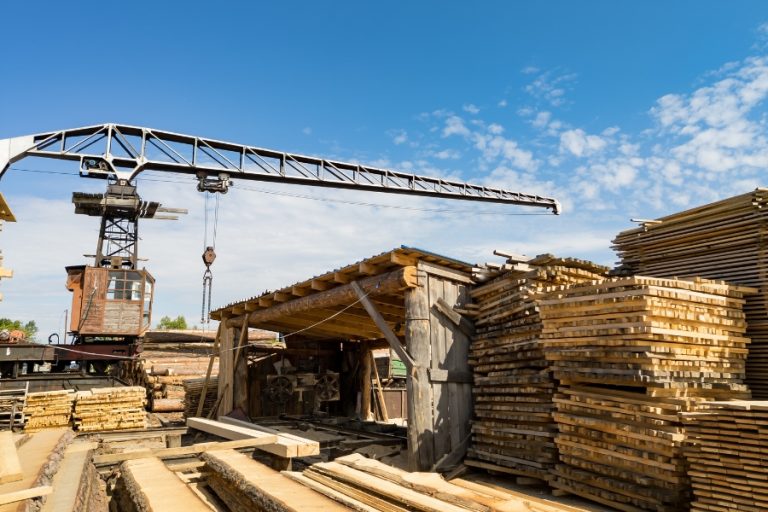 List of Salt and Moisture Resistant Wood for Coastal Construction - Hojaya